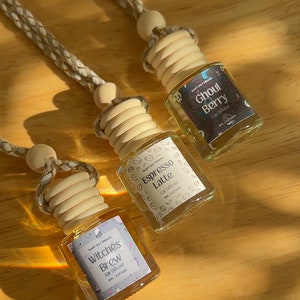 Hanging Car Diffusers - Etsy