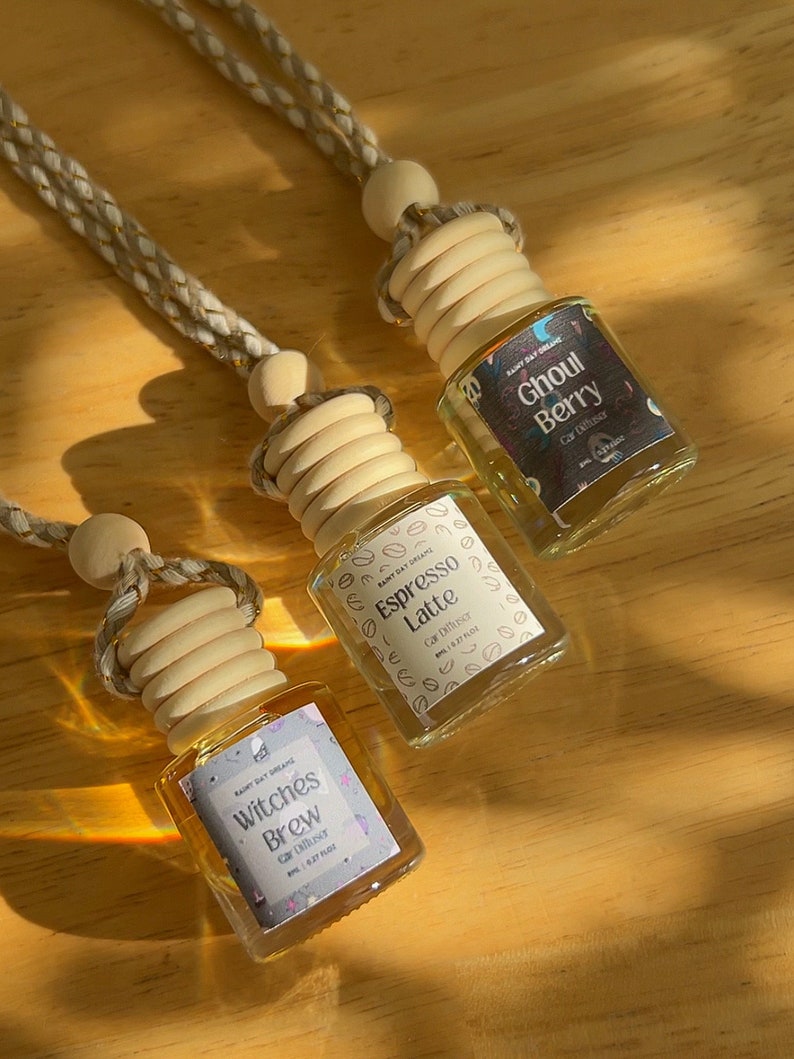 Hanging Car Diffusers - Etsy