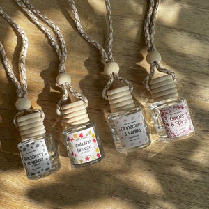 Hanging Car Diffusers - Etsy