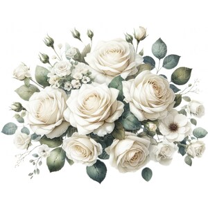 White Roses Illustration | Roses Bouquet Artwork L Digital Illustration ...