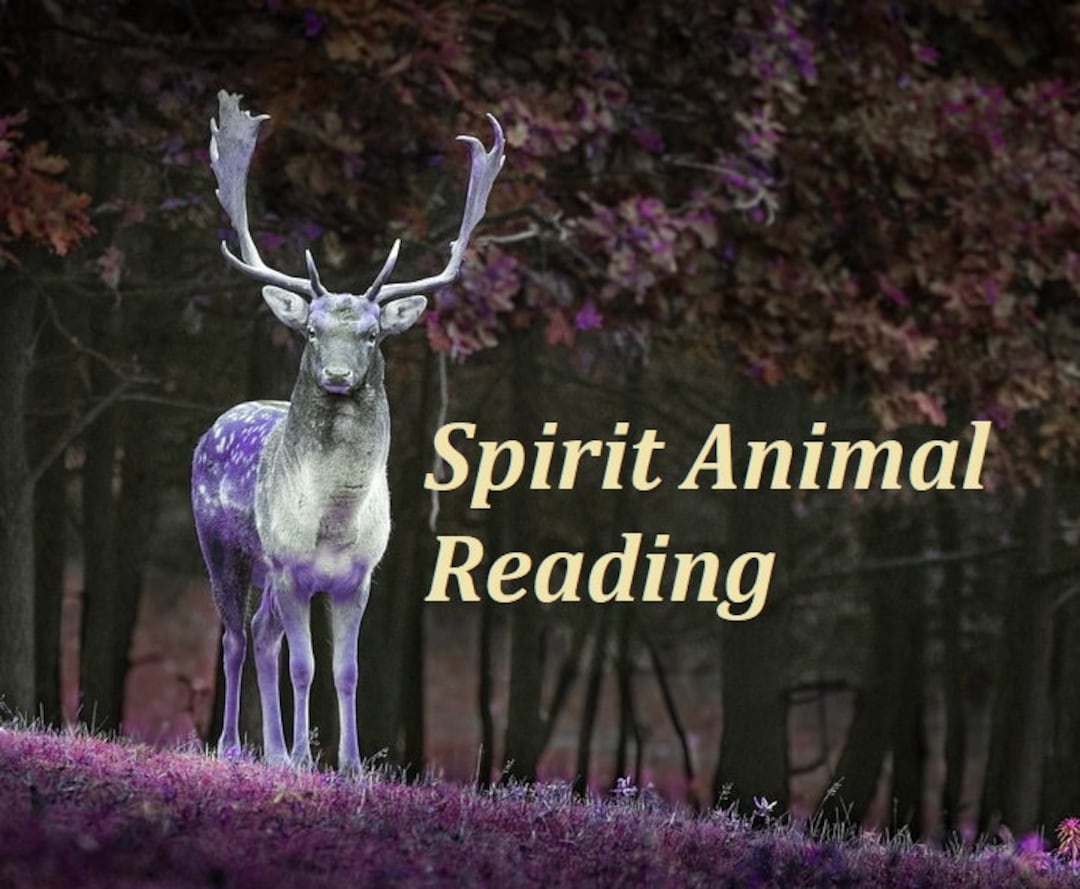 Power Spirit Animal Reading: Totem Animal Guidance (PDF Download) - Etsy