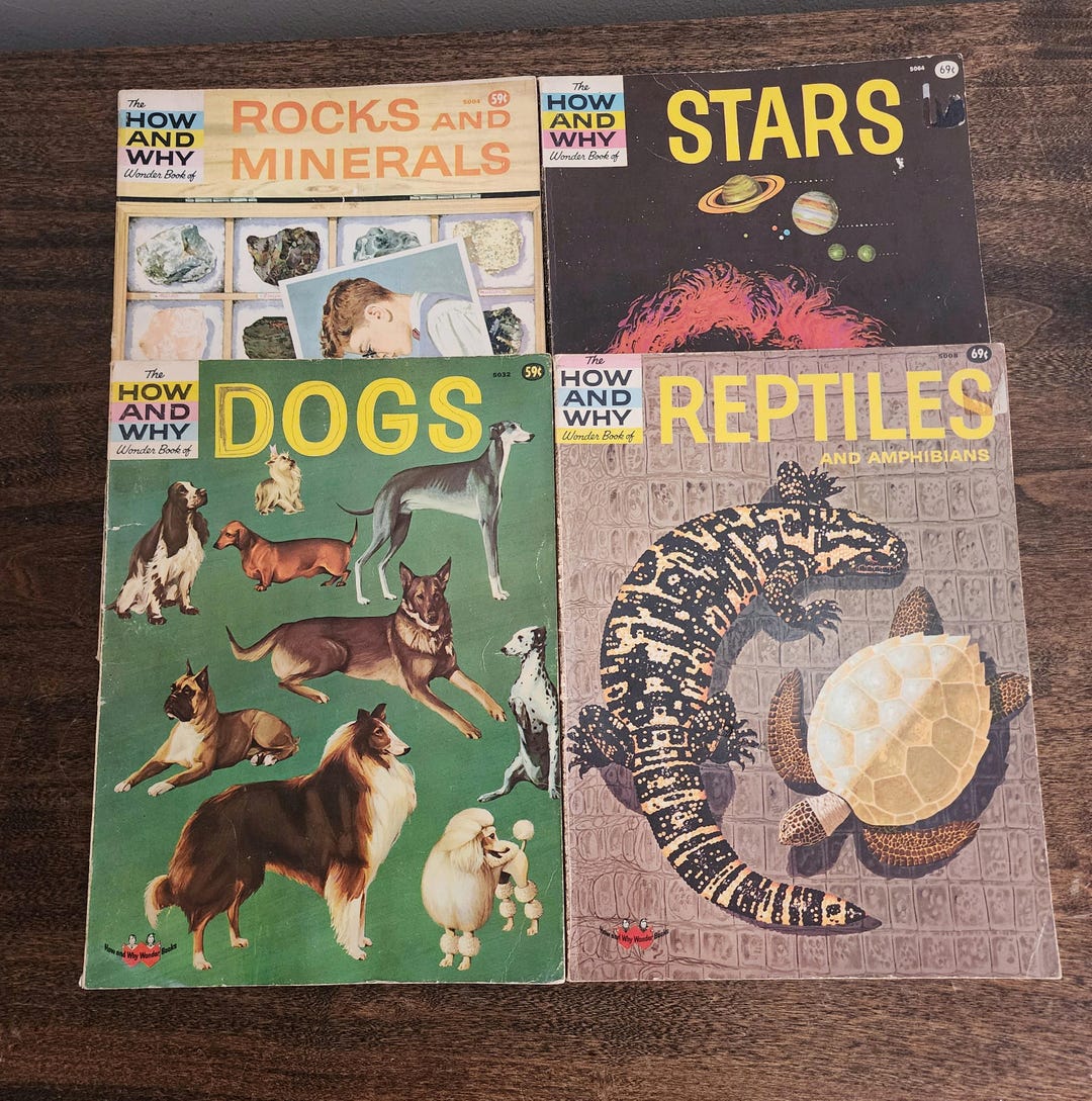 4 How and Why Wonder Books - Etsy