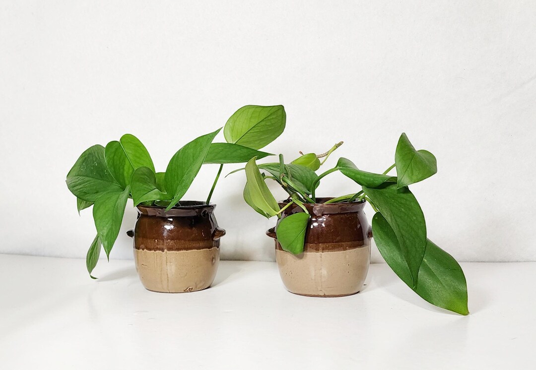 Two Hanging Crock Planters - Etsy