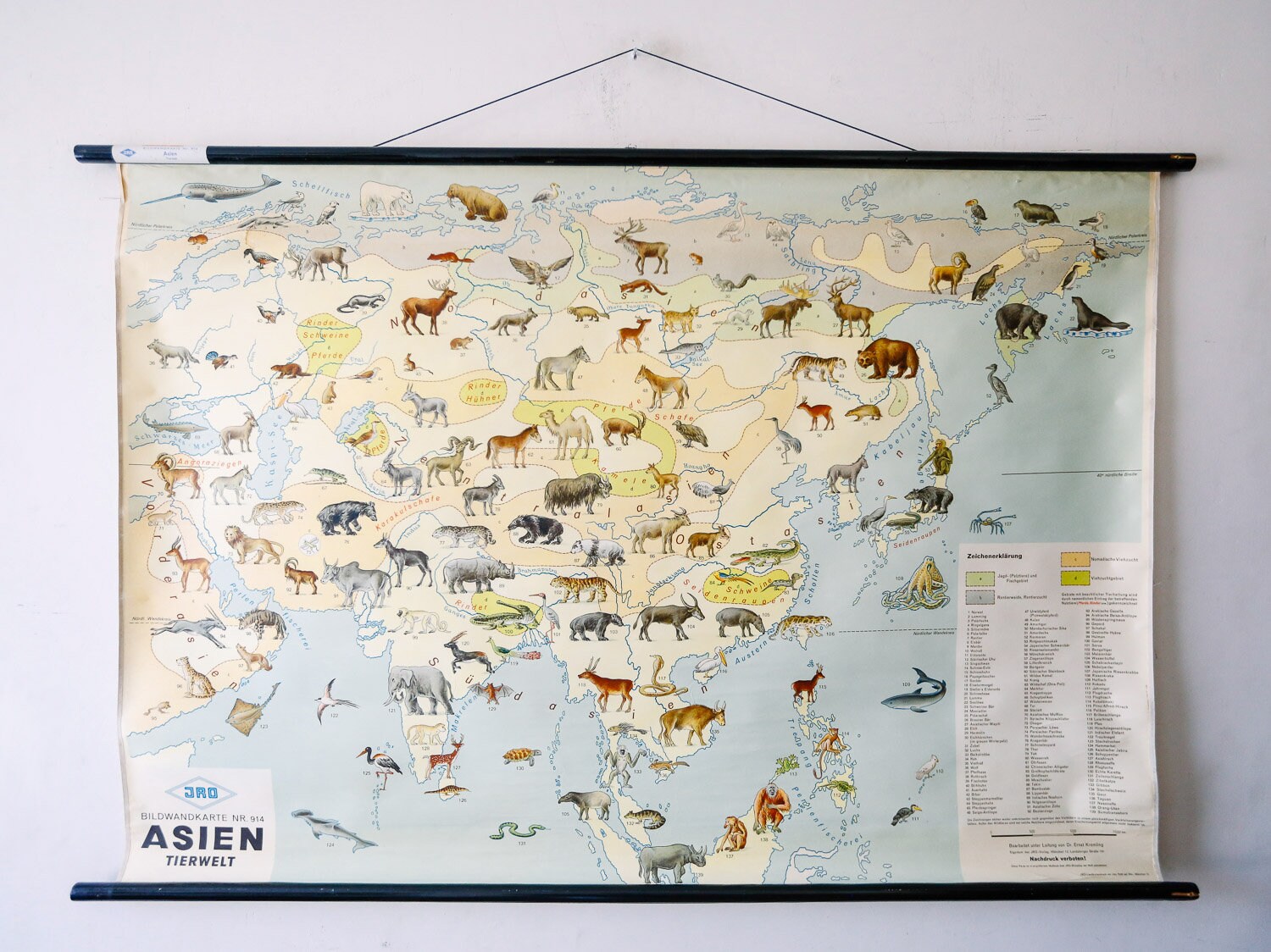 Original Vintage Mid Century German Educational School Wall Chart ASIA ...