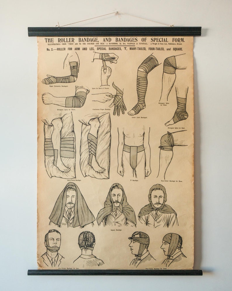 Original ANATOMICAL Vintage British School Wall Chart TRIANGULAR ...