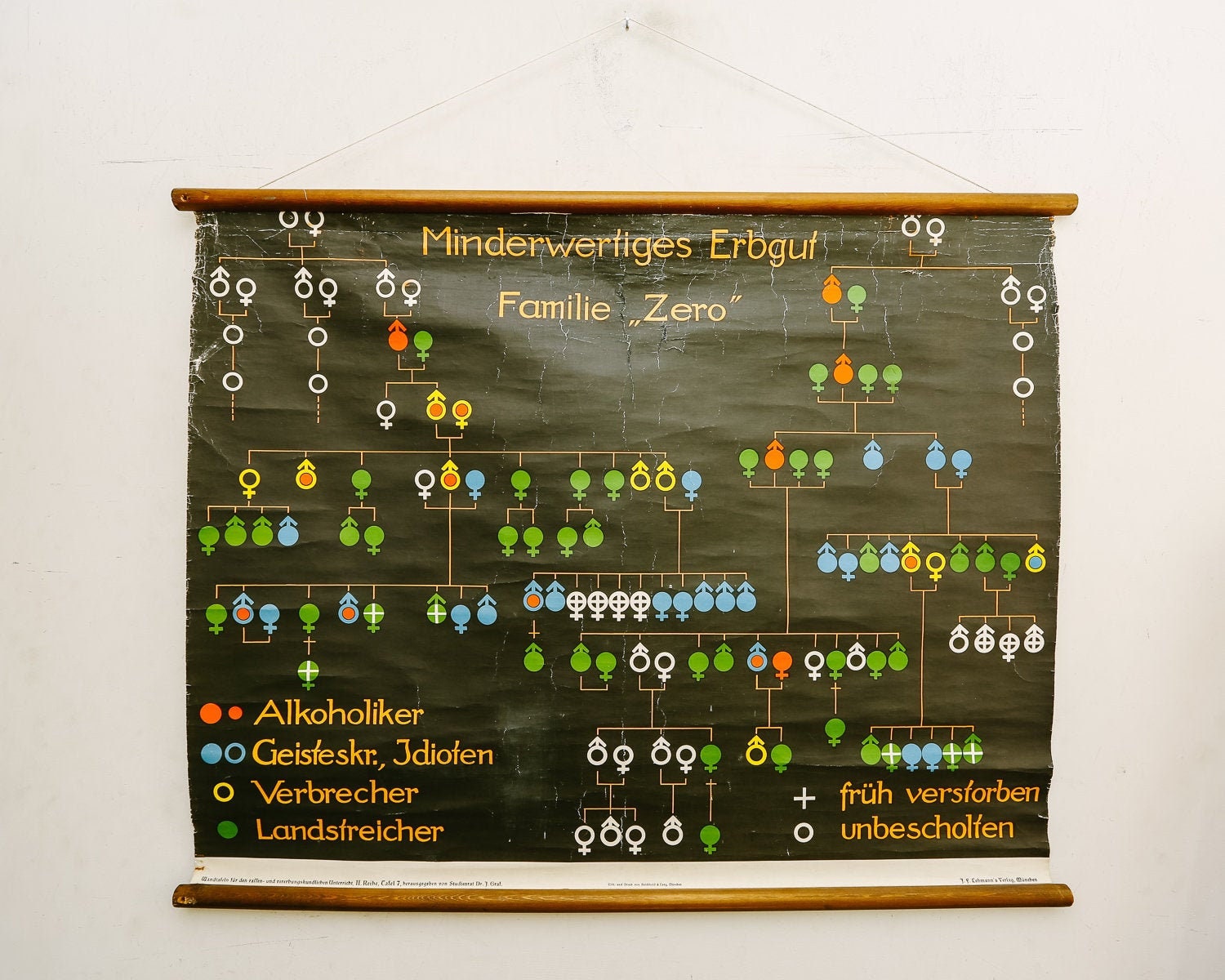 Original ANATOMICAL Vintage German School Wall Chart Short Genetic ...