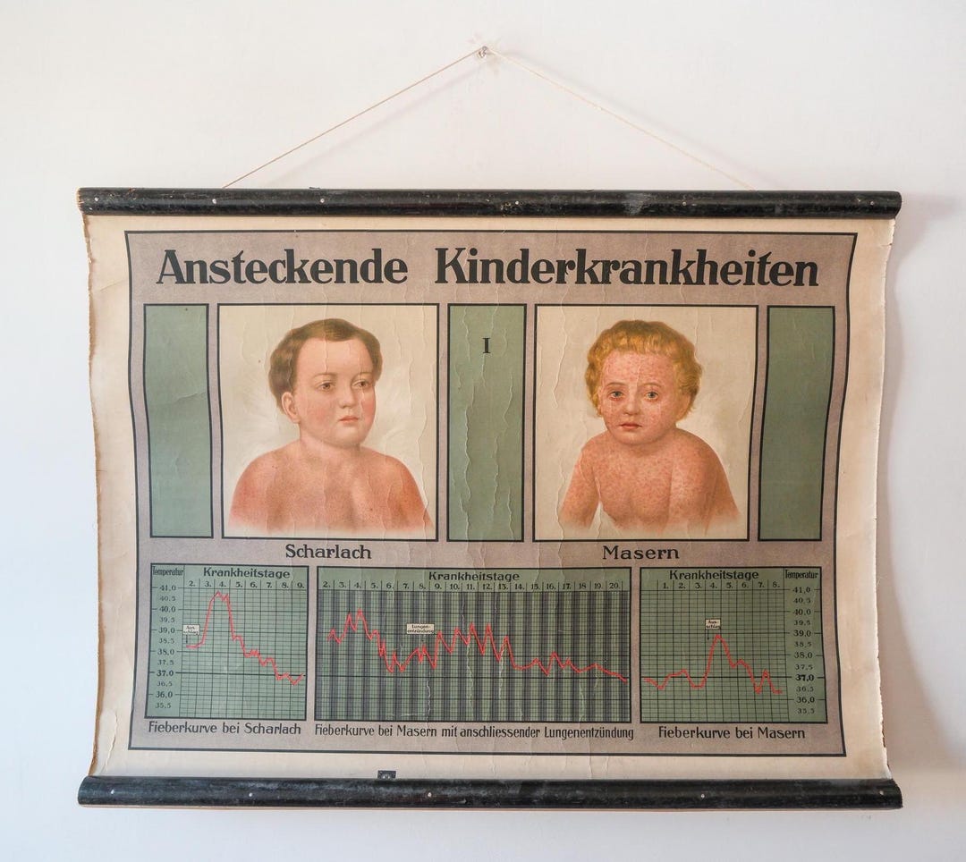 Antique ANATOMICAL Vintage German School Wall Chart Contagious ...