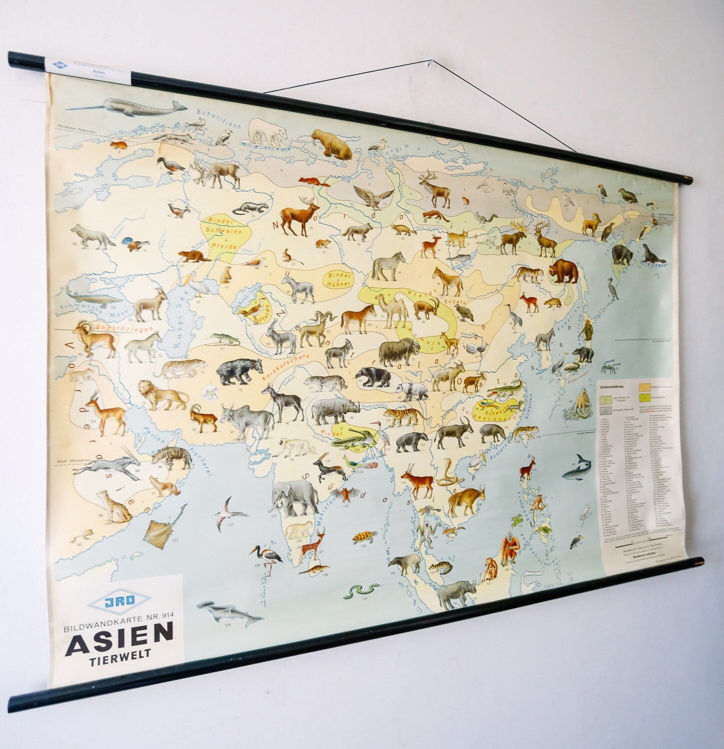 Original Vintage Mid Century German Educational School Wall Chart ASIA ...