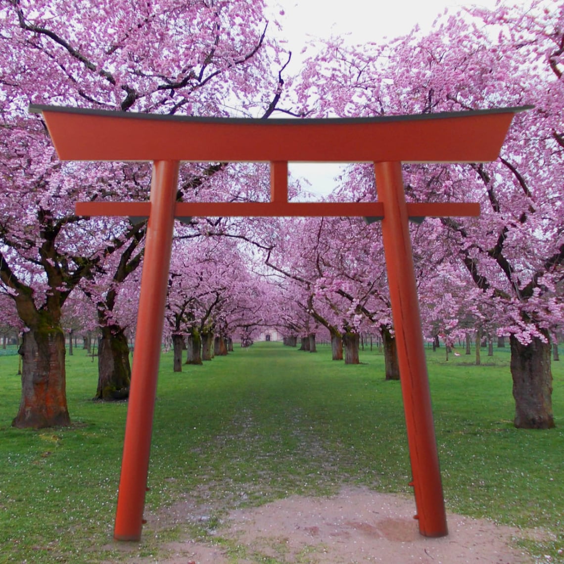 Torii Japanese Garden Wooden Arch Archway Gate Wood Feng Shui Asia ...