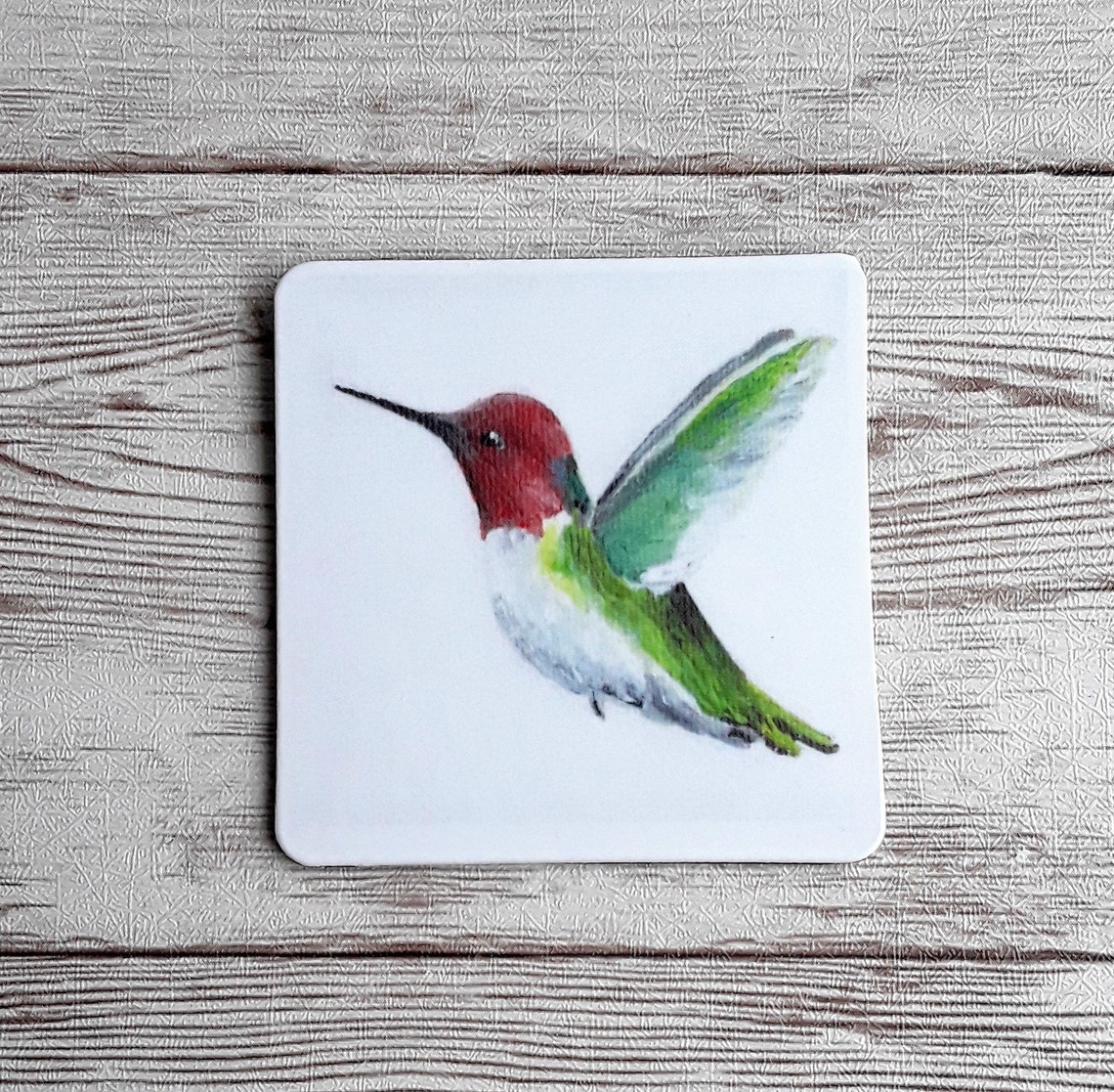 Hummingbird Magnets Bird Art Refrigerator Magnets Set of | Etsy