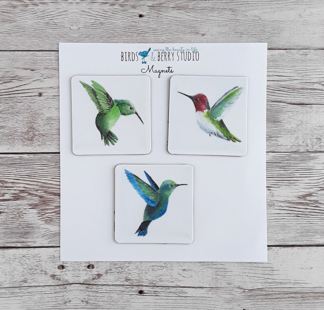 Hummingbird Magnets Bird Art Refrigerator Magnets Set of - Etsy