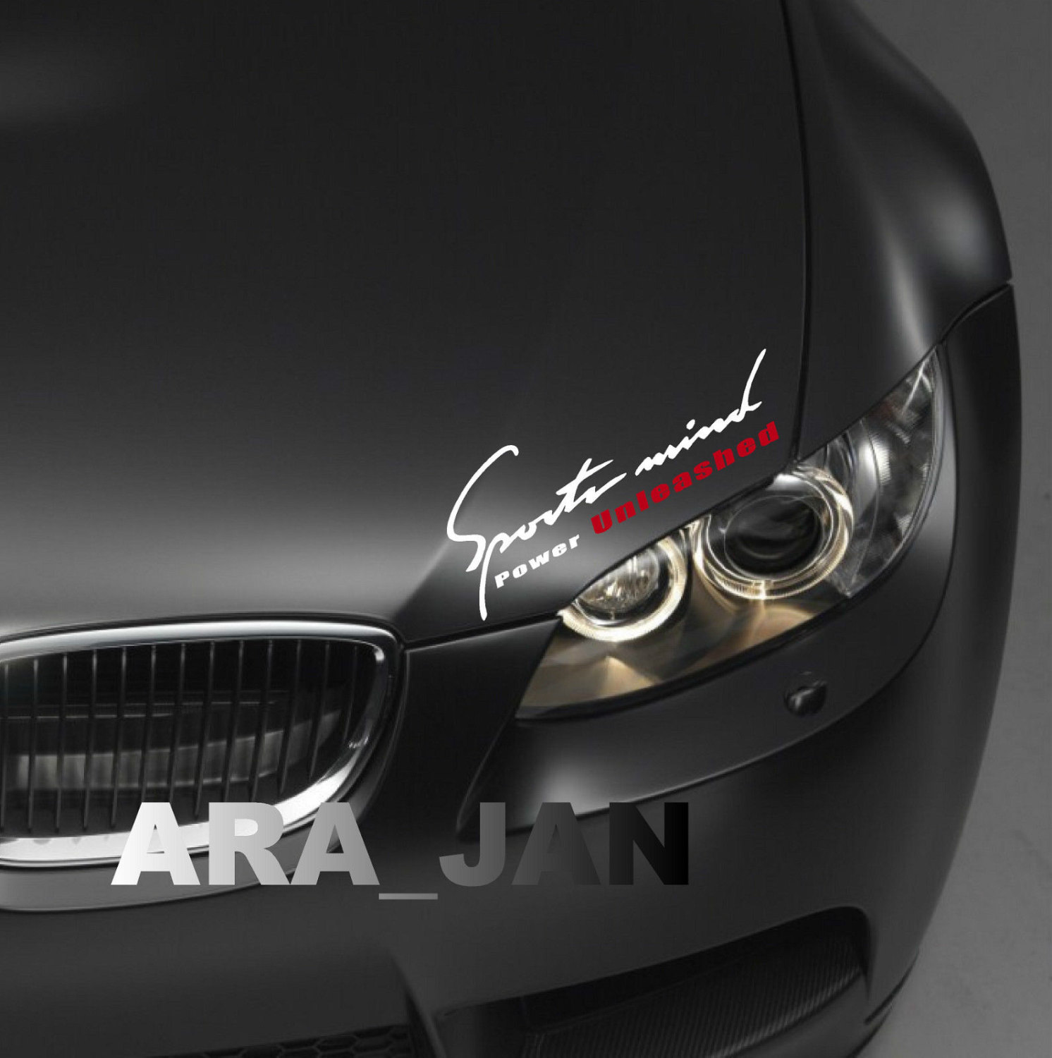 SPORTS MIND POWER UNLEASHED Racing Decal Sport Car Sticker Emblem logo ...