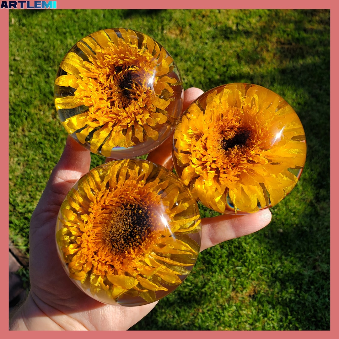 Sunflower Resin Sphere With Light Base Handmade Resin Craft With Real ...