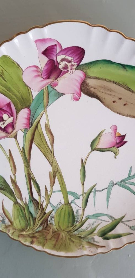 Mintons William Musill Beautiful Botanical Plate C. 1885 Pink - Etsy UK