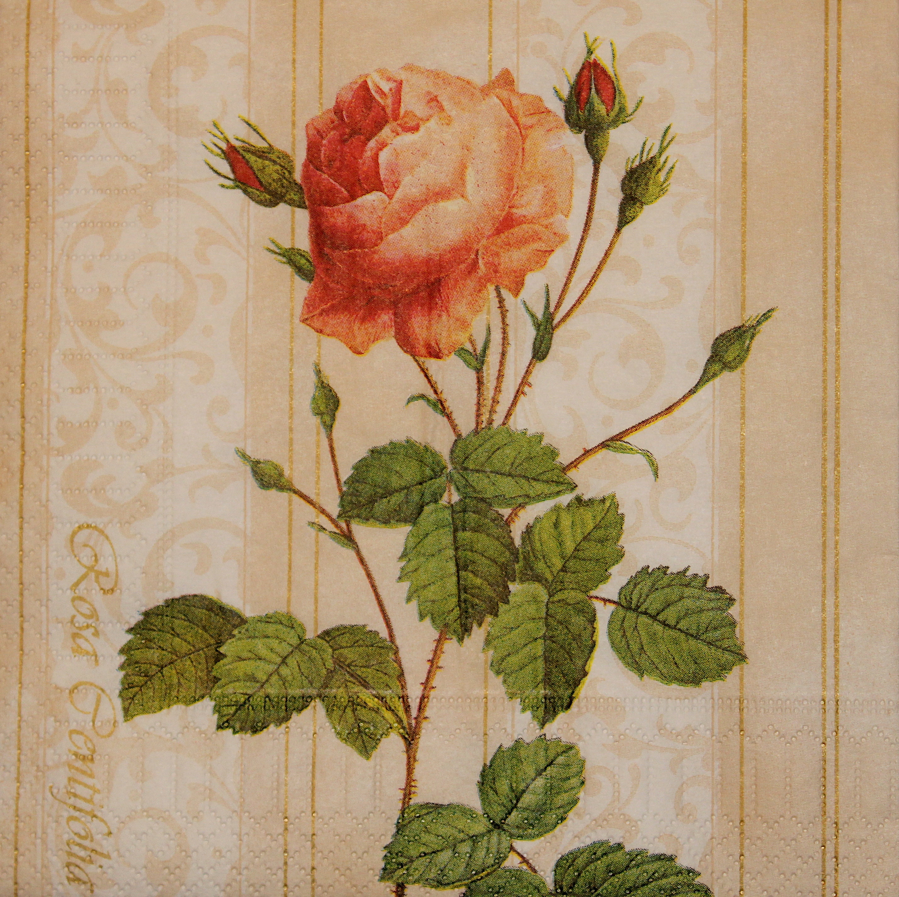 4 Paper NapkinsPaper Napkins with tender rosesDecoupage | Etsy