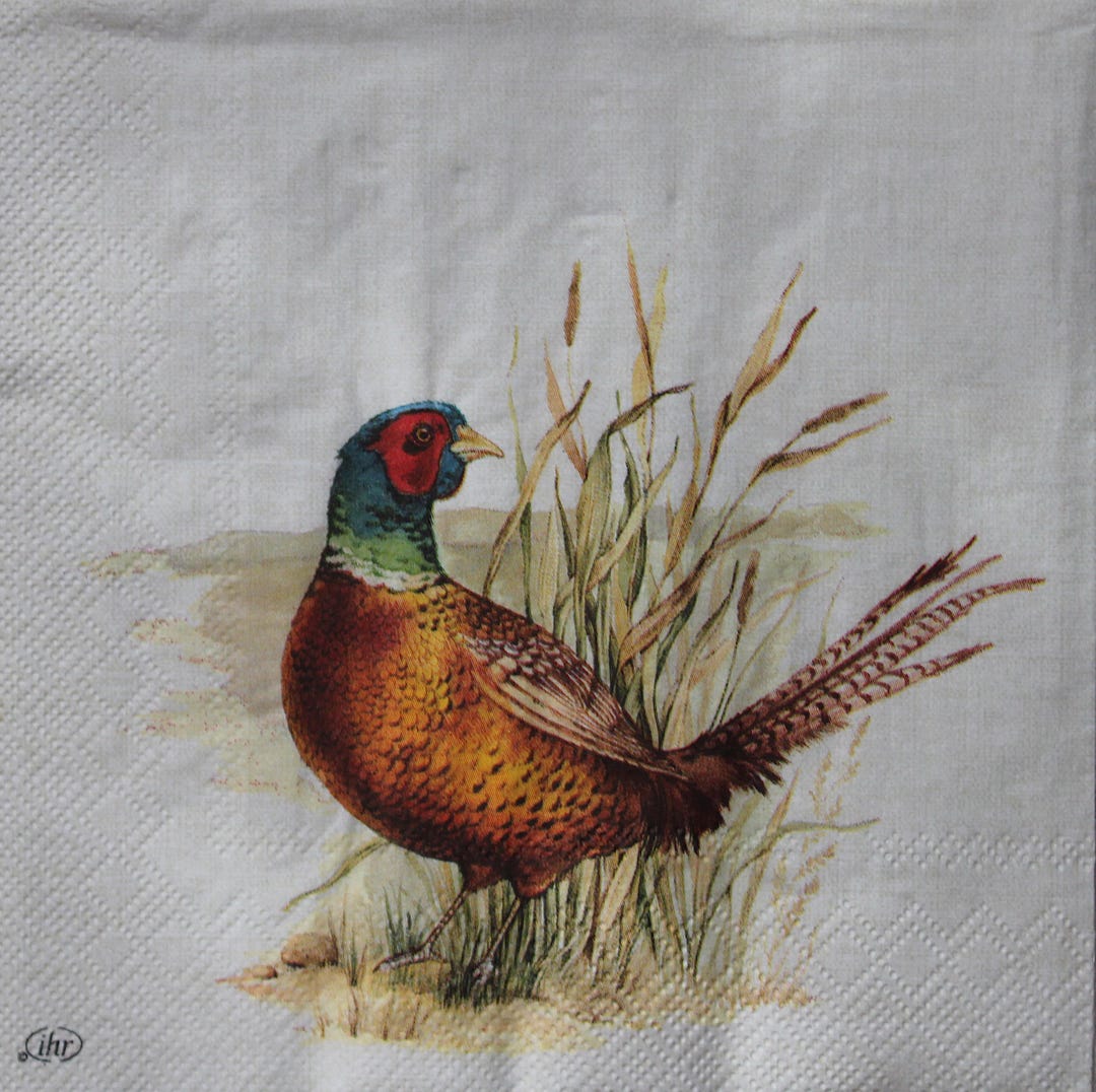 4 Paper Napkin With Pheasant, Birds,hunting,autumn,paper Napkin for ...