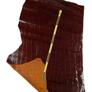 CROCODILE EMBOSSED Leather Hide, Brown Glossy Cowhide With Light ...