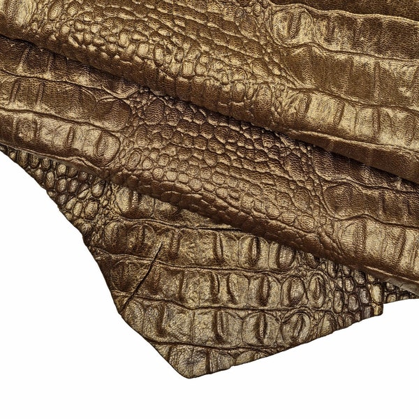 Tanned Alligator Hide - Etsy