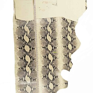 Beige Blacksnakeskin Hides Realistic SNAKE, Python Leather Skins ...