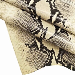 Beige Blacksnakeskin Hides Realistic SNAKE, Python Leather Skins ...