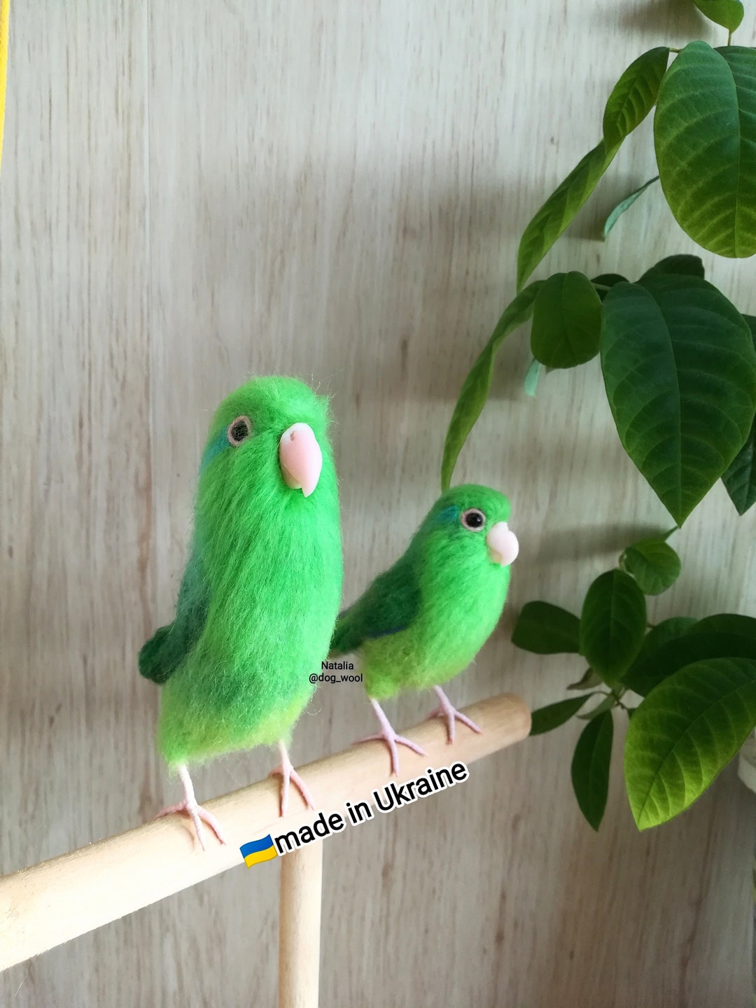 Felted Pacific Parrotlet Male/female From Merino Wool, Decor Toy, Gift ...