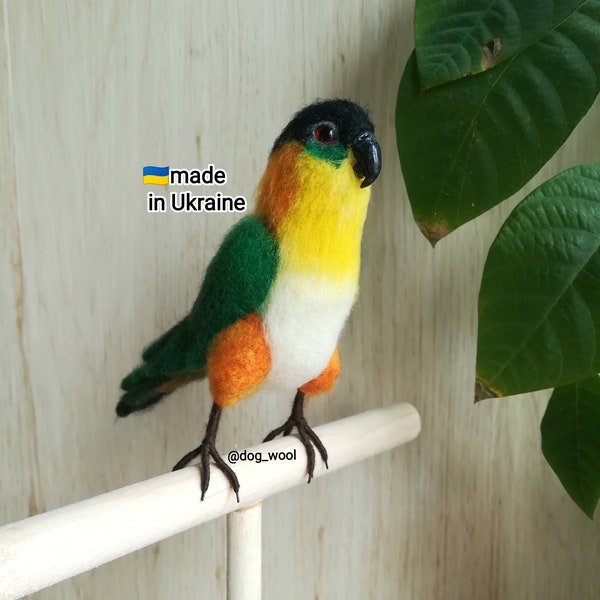 Needle Felted Parrot - Etsy