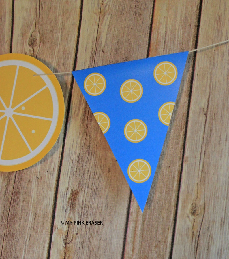 Lemon Banner // Lemon Pennant - Etsy