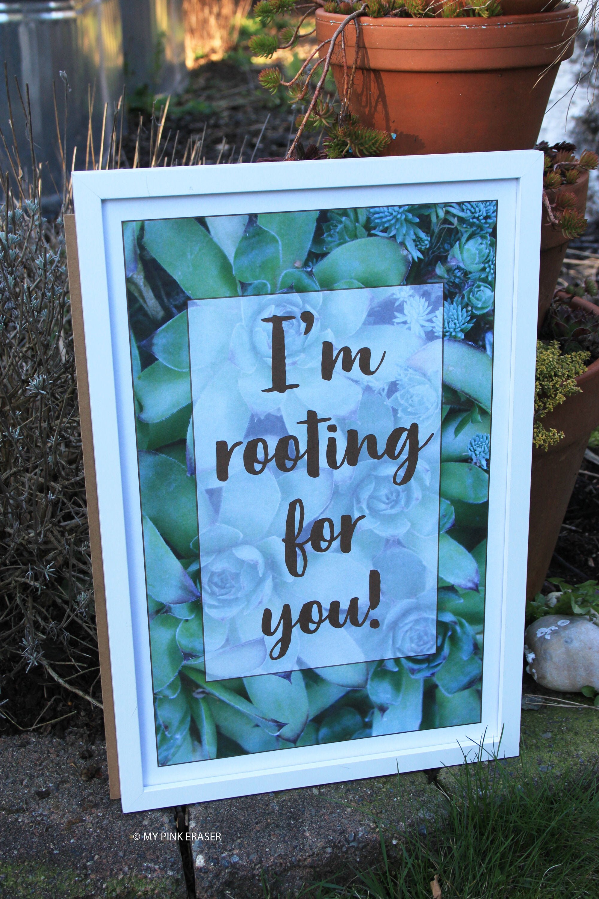 Rooting for You Poster // Succulent Theme Poster - Etsy