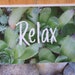 Relax Refresh Renew Poster - Etsy