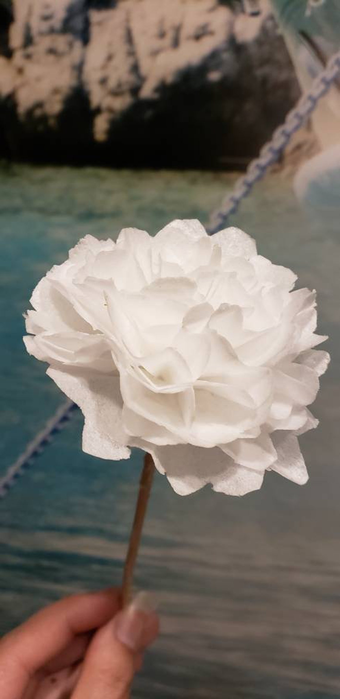 Edible Flowers, 3D Realistic Edible Wafer Paper Carnation - Etsy