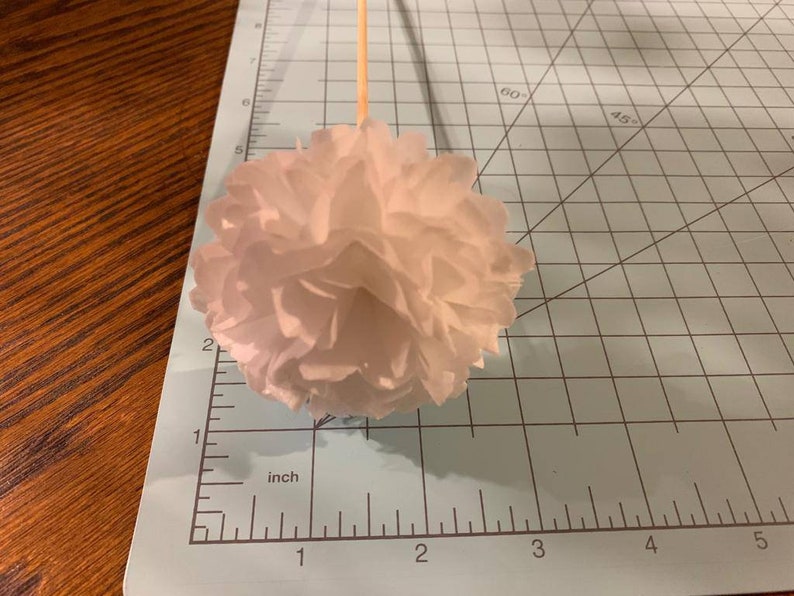 Edible Flowers 3D Realistic Edible Wafer Paper Carnation | Etsy