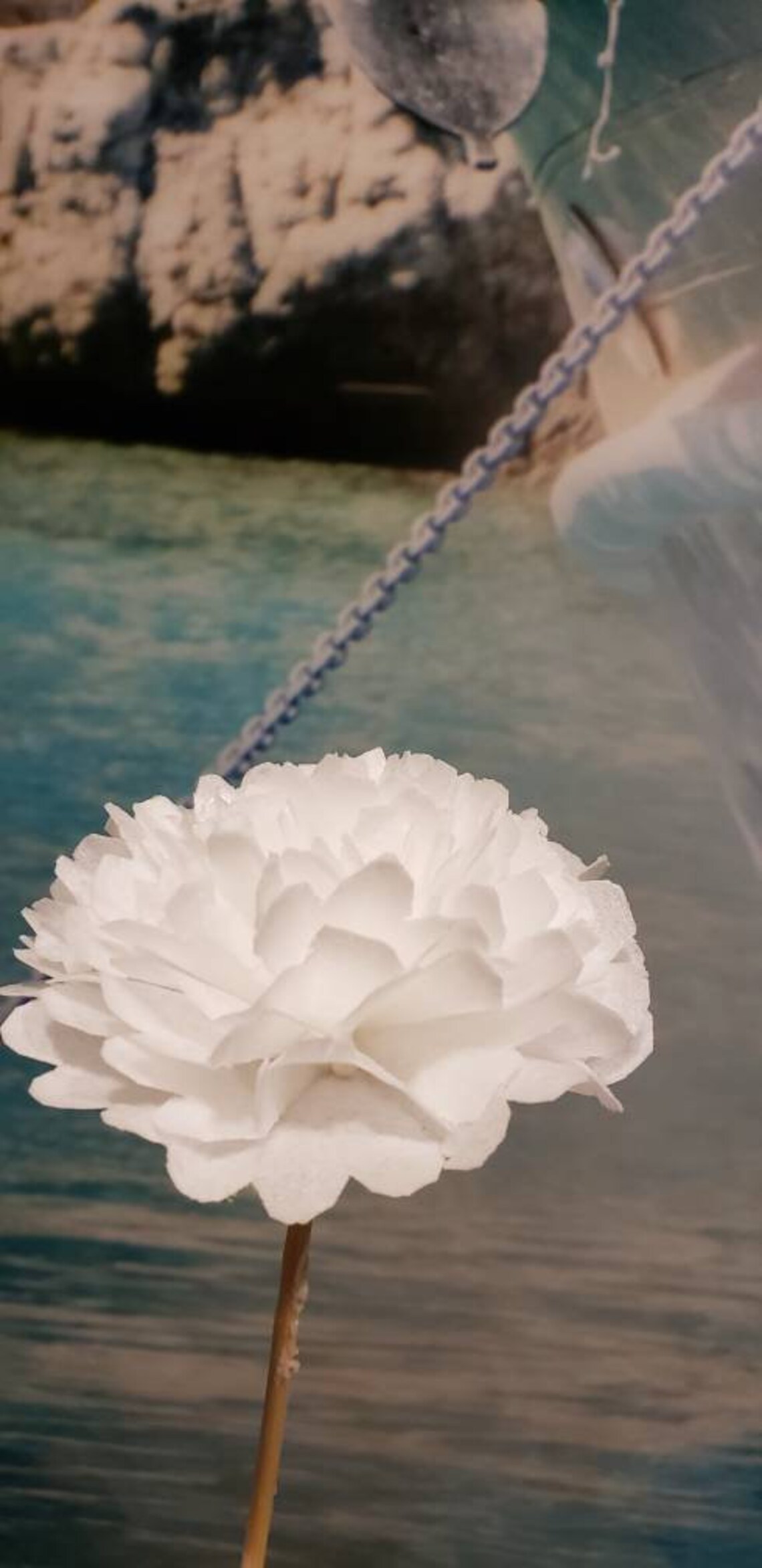 Edible Flowers, 3D Realistic Edible Wafer Paper Carnation - Etsy