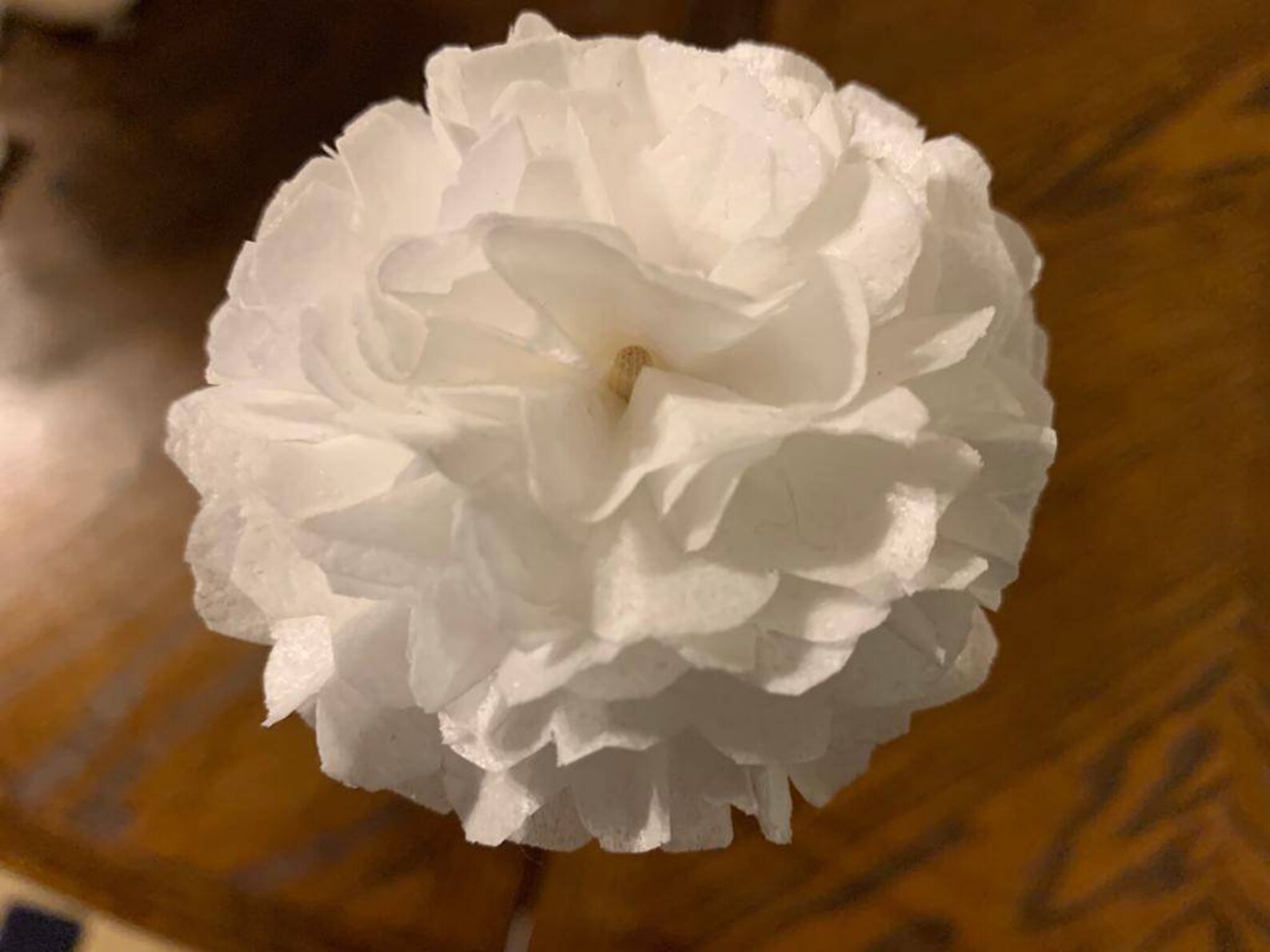 Edible Flowers, 3D Realistic Edible Wafer Paper Carnation - Etsy Canada