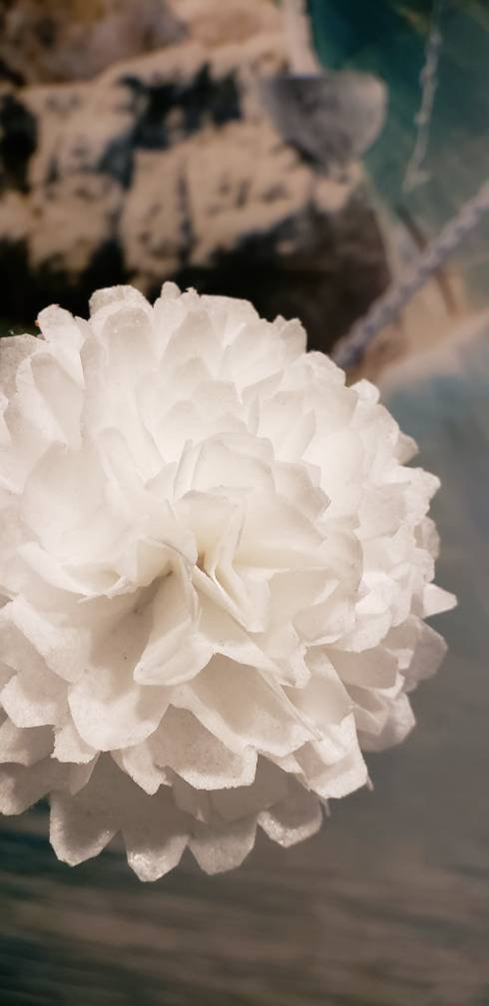 Edible Flowers, 3D Realistic Edible Wafer Paper Carnation - Etsy