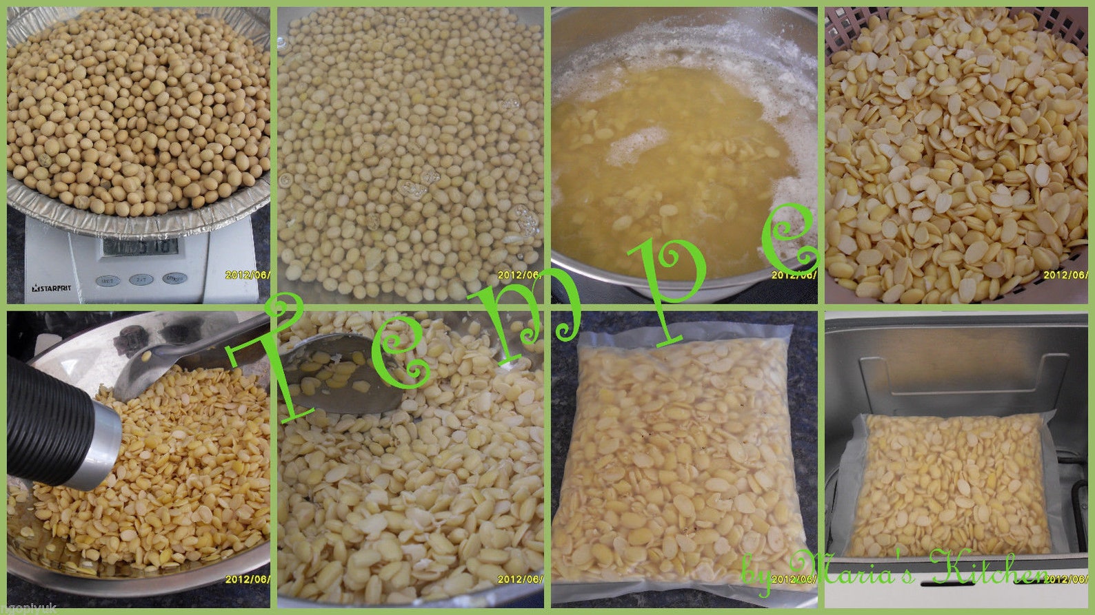 6oz Yeast Ragi Tempeh Starter Inoculum Tempe Indonesia Rhizopus ...