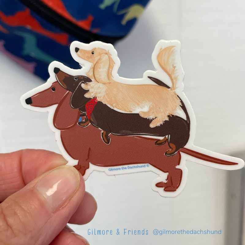 Dachshund Sticker - Etsy