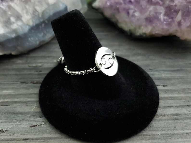 Zodiac Sign Ring / Stainless Steel Zodiac Ring / Adjustable | Etsy