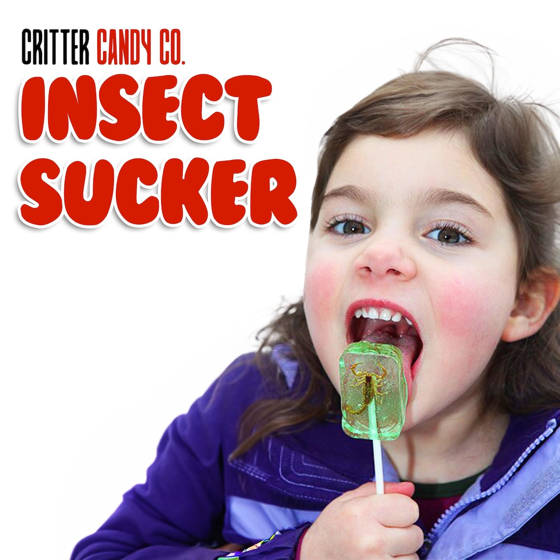 Hotlix Insect Lollipops, Edible Bug Candy, Weird Food Gift, 4 Pack - Etsy