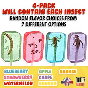 Hotlix Insect Lollipops, Edible Bugs, Edible Insects for Humans, Bug ...