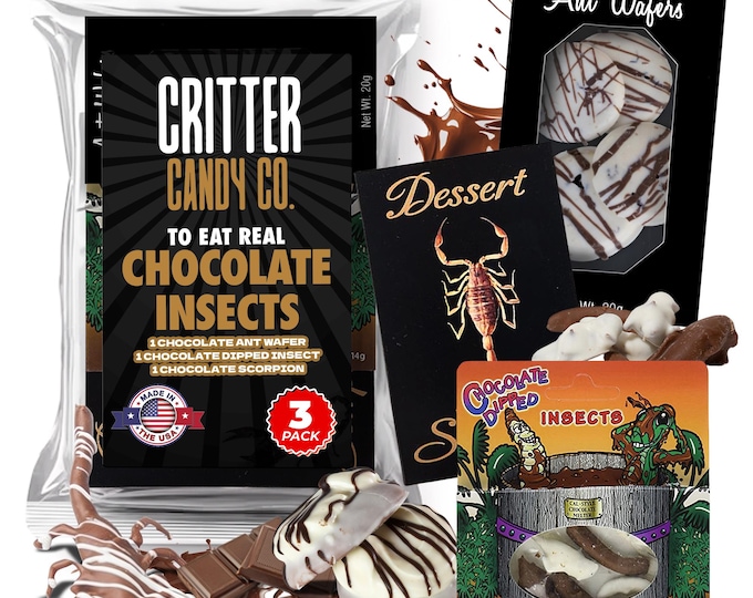 Hotlix Chocolate Covered Edible Bugs, Scorpion, Ant Wafers, Earthworms ...