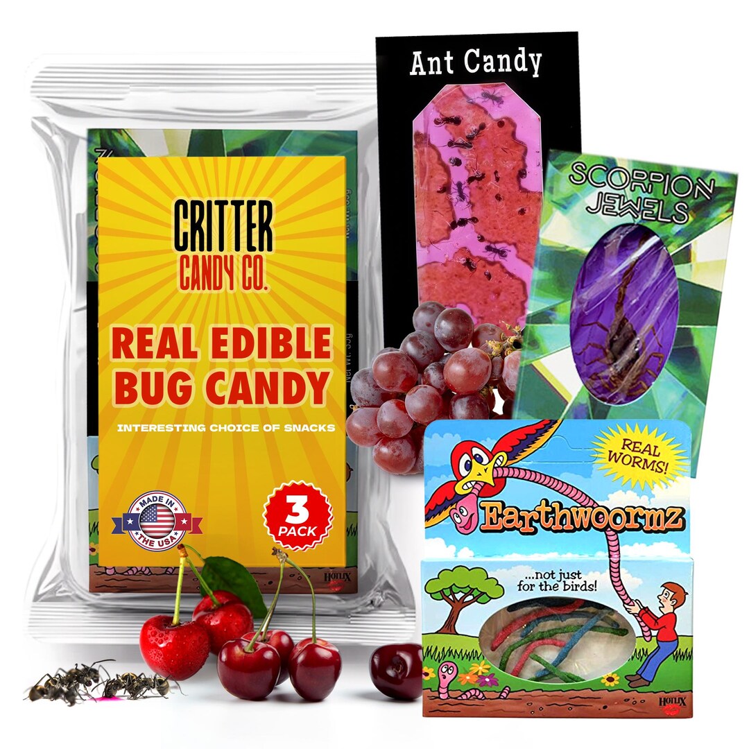 Hotlix Edible Bugs Candy, Scorpion, Ants, Earthworms, Bug Candy, Candy ...