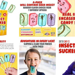 Hotlix Insect Lollipops, Edible Bugs, Edible Insects for Humans, Bug ...
