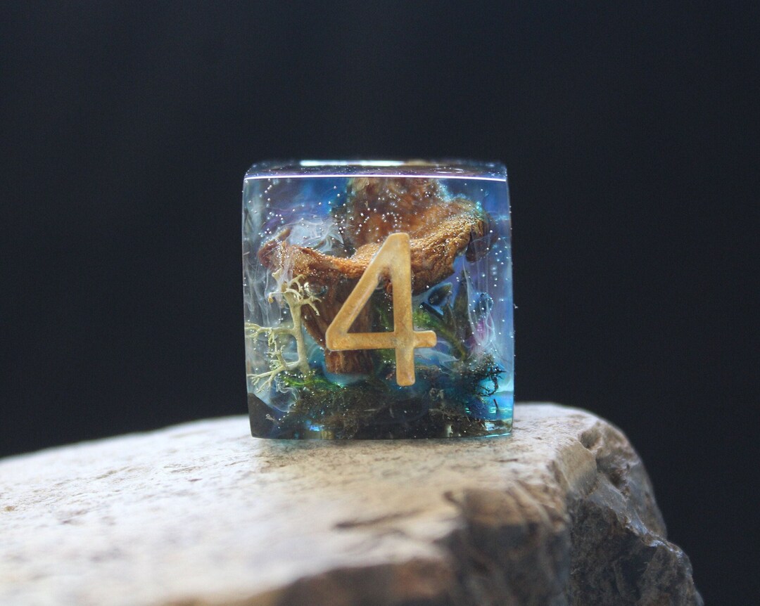 Mega Dice D6 Rpg Giant 24mm Real Mushroom Moss Lavender Floral Resin ...