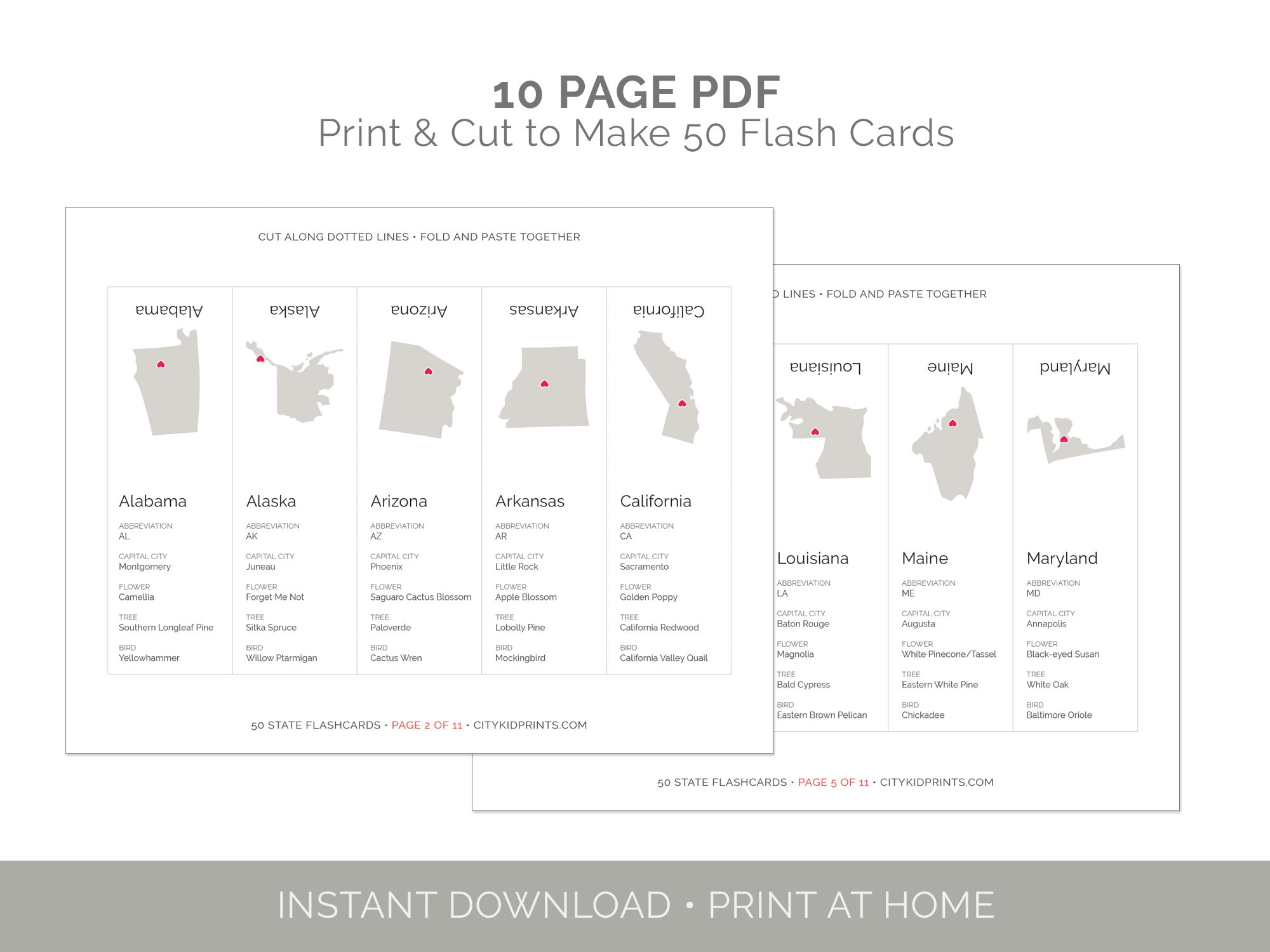 State Capitals PRINTABLE Flash Cards | Etsy