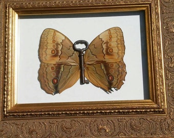 Butterfly skeleton | Etsy