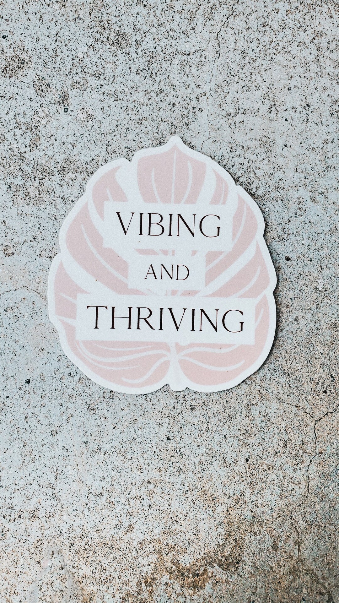 Pink Vibing and Thriving Monstera Sticker Positivity Stickers - Etsy