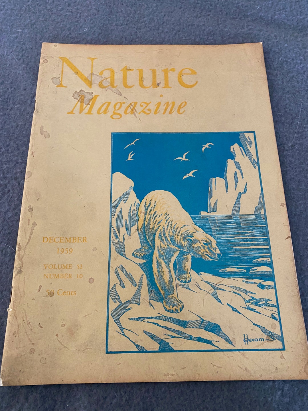 Vintage Polar Bear Cover Nature Magazine, December 1959, Vintage 1950s ...