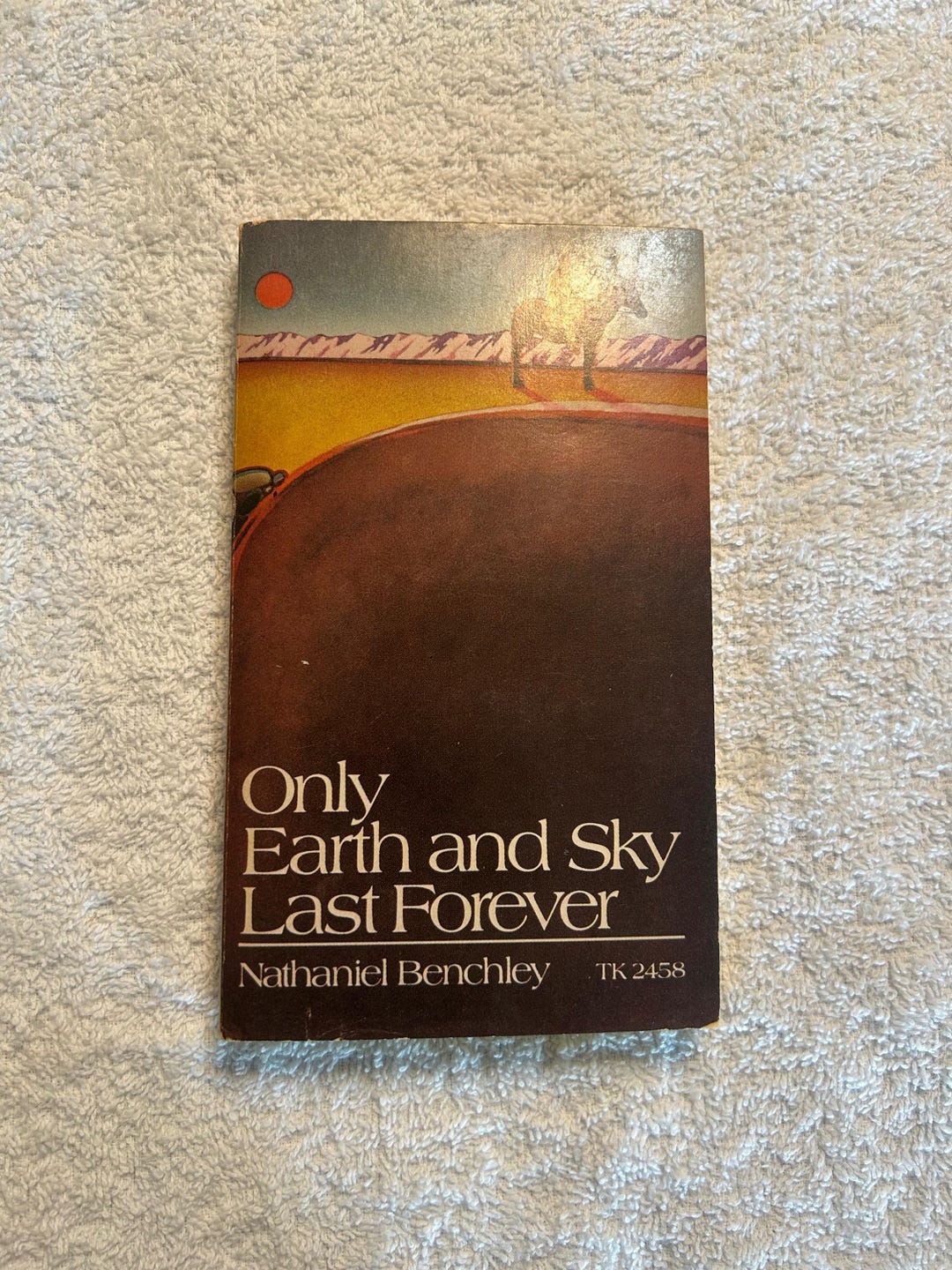 Only Earth and Sky Last Forever, Nathaniel Benchley, 1973, Vintage Book ...