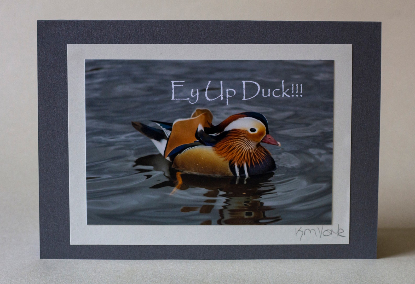 Ey up Duck. Yorkshire Greetings Card - Etsy