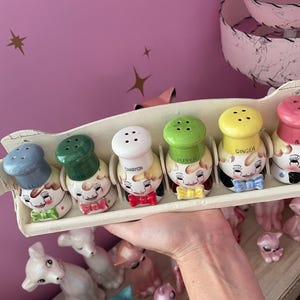 Retro Vintage Japan Kawaii Cute Spice Rack Men Ceramic Rainbow ...